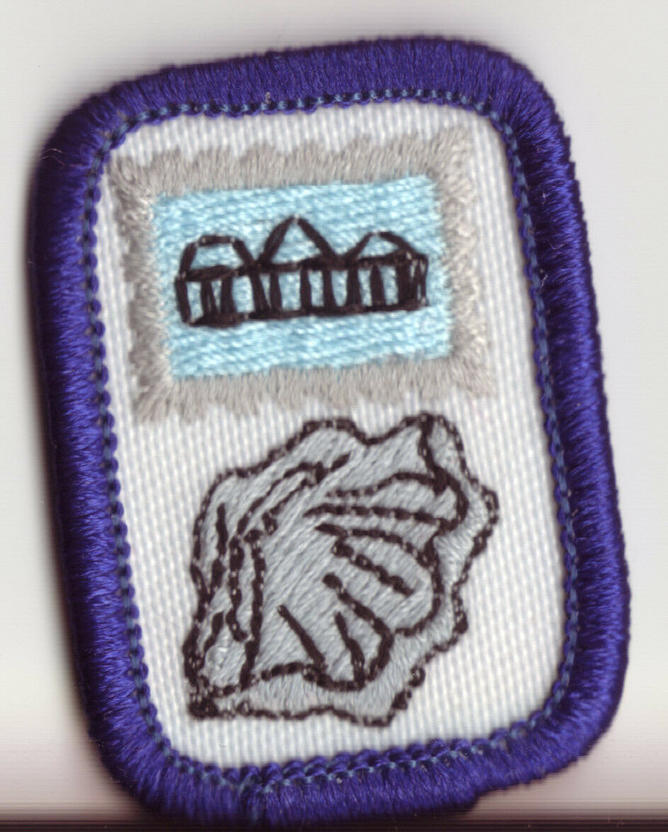 Collecting, Cadette Girl Scout Interest Project Patch IPP IPA ...